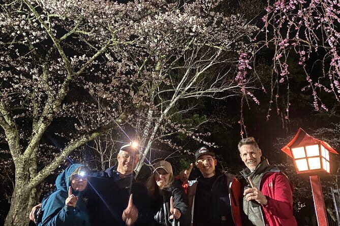 Private Night walk Tour at the foot of Mt. Fuji - Who Is This Tour Best For?