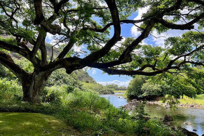 Private North Shore Oahu Tour ft. Waimea Falls-Customizable - The Value of a Private, Guided Tour