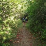 Private Nottawasaga Bluffs Caves Hiking Tour,Collingwood/Creemore - Why This Tour Is a Great Value