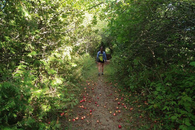 Private Nottawasaga Bluffs Caves Hiking Tour,Collingwood/Creemore - Why This Tour Is a Great Value