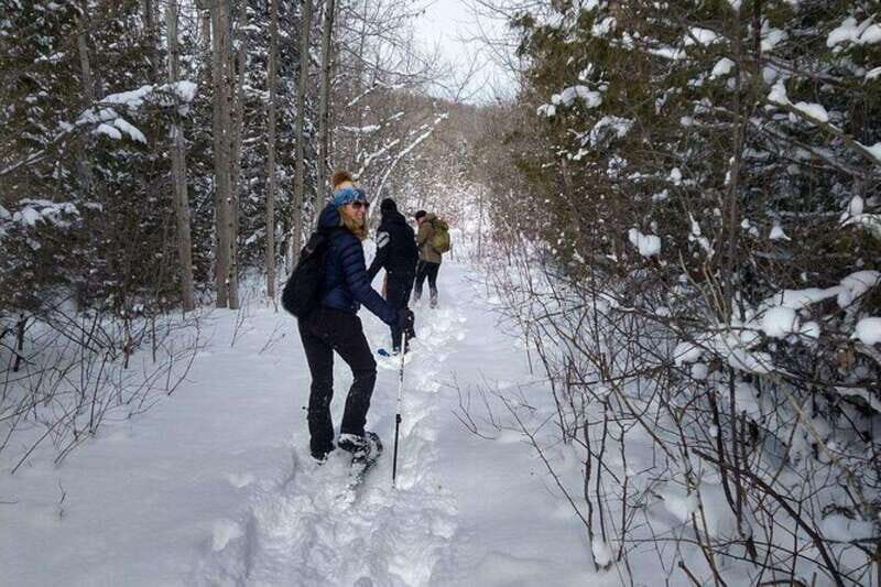 Private Nottawasaga Bluffs Caves Snowshoe-Creemore/Collingwd - Comparing Nottawasaga Bluffs and Singhampton Caves Tours