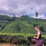 Private Nuwara Eliya City Tour Including Main Attractions - Key Points