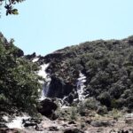 Private One Day Tour through The Deep South - Practicalities and Experience Dynamics