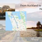 Private One-Way Transfer: Auckland Airport to Hamilton/Rotorua - A Closer Look at What to Expect