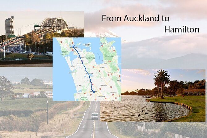 Private One-Way Transfer: Auckland Airport to Hamilton/Rotorua - A Closer Look at What to Expect