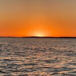 Private ONLY Dolphin Boat Tours - What’s Included and What’s Not