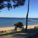 Private Penguin Tour includes Tour Guide & Penguin Plus Tickets - The Sum Up