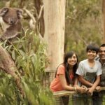 Private Phillip Island Penguin Parade Tour - Authentic Encounters and Real Experiences