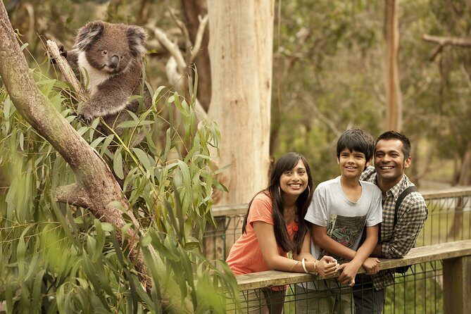 Private Phillip Island Penguin Parade Tour - Authentic Encounters and Real Experiences
