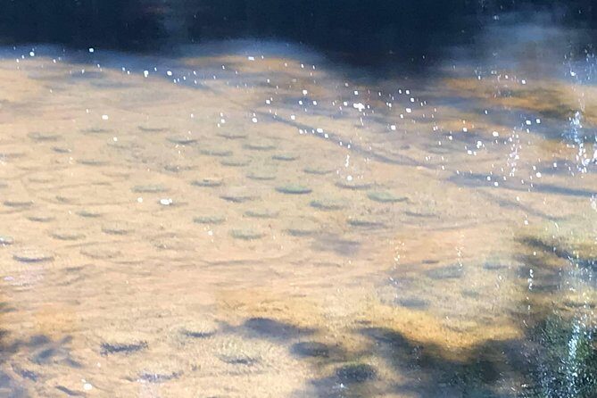 Private Phnom Kulen 1000 lingas waterfall by Lexus - A Deep Dive into the Phnom Kulen Private Tour