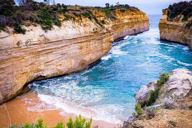 Private Premium Great Ocean Road with Lunch & Wildlife spotting - What Travelers Should Know About the Experience