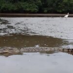 Private Proboscis Monkey, Water Village & Bandar by Night Tour - Practical Details and What to Expect