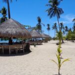 Private Puerto Princesa island tour: Shore excursion - Who Will Love This Tour?