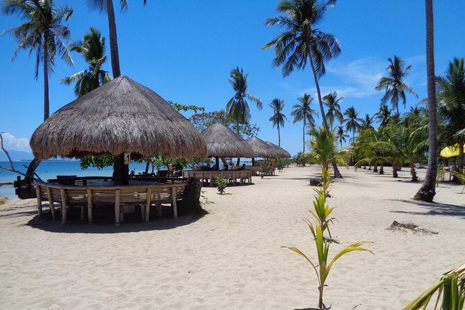 Private Puerto Princesa island tour: Shore excursion - Who Will Love This Tour?