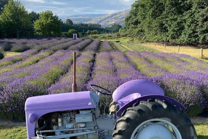 Private Queenstown and Wanaka City Day Tour - Exploring Queenstown and Wanaka: An In-Depth Look at the Tour
