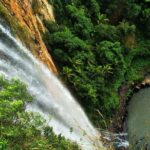 Private Rainforest & Wildlife Tour - Build Your Own Experience - Authentic Experiences and Real Traveler Feedback