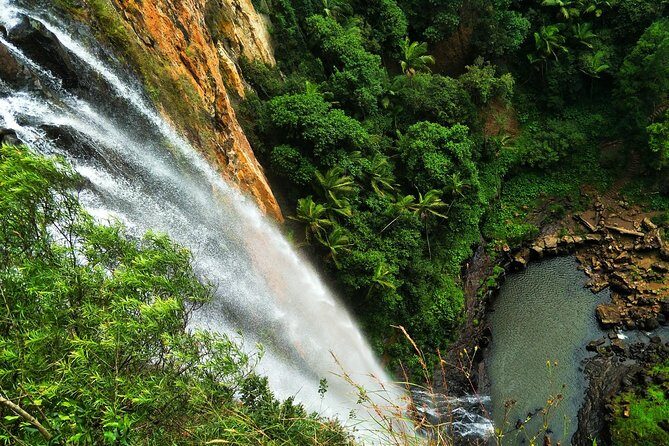 Private Rainforest & Wildlife Tour - Build Your Own Experience - Authentic Experiences and Real Traveler Feedback