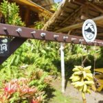 Private Road to Hana Rainforest & Waterfall Experience from Maui - The Experience in Practice