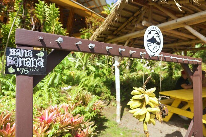 Private Road to Hana Rainforest & Waterfall Experience from Maui - The Experience in Practice