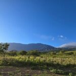 Private Road to Hana Tour with Pickup-Ultimate Package, Backside - Exploring Maui’s Hidden Corners: A Deep Dive into the Tour