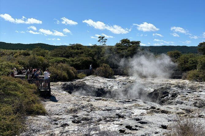 Private RotoruaTour Waiotapu & Redwood forest & spa from Auckland - Value and Practical Considerations