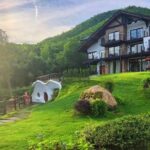 Private Round Trip Transfer to Mogan Mountain from Hangzhou - Discovering Mogan Mountain: A Natural Retreat Near Hangzhou