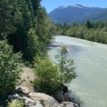 Private, Same Day Round Trip Shuttle Vancouver to Whistler - Authentic Experiences and Honest Feedback