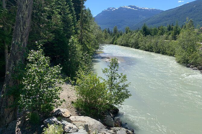 Private, Same Day Round Trip Shuttle Vancouver to Whistler - Authentic Experiences and Honest Feedback