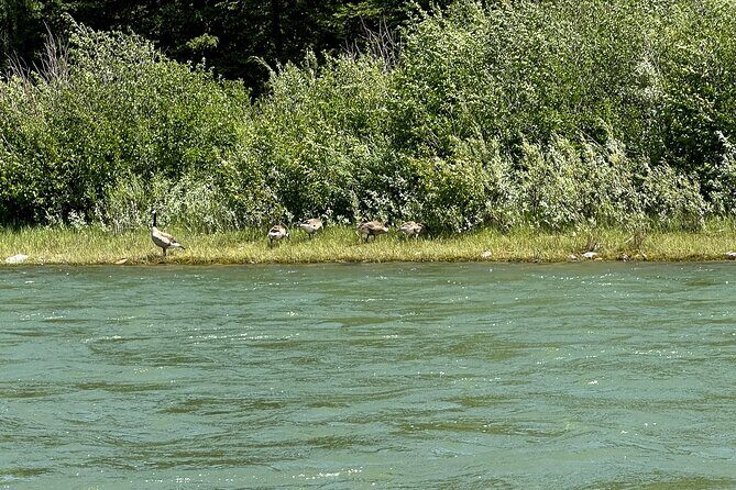 Private Scenic Snake River Float - Grand Teton Nat'l Park - The Itinerary in Detail