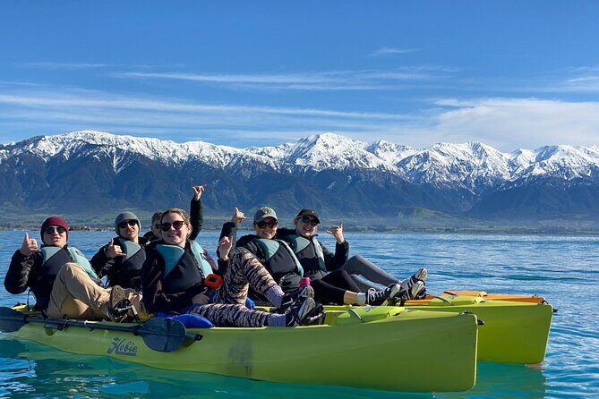 Private Seal Kayaking and Wildlife Tour in Kaikoura - Detailed Breakdown: What to Expect