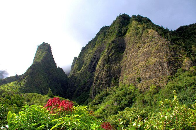 Private Shore Excursion: Best Highlights of Maui - What the Tour Might Not Cover