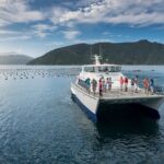 Private Shore Excursion: Explore Marlborough from Picton - In-Depth Look at the Marlborough Tour