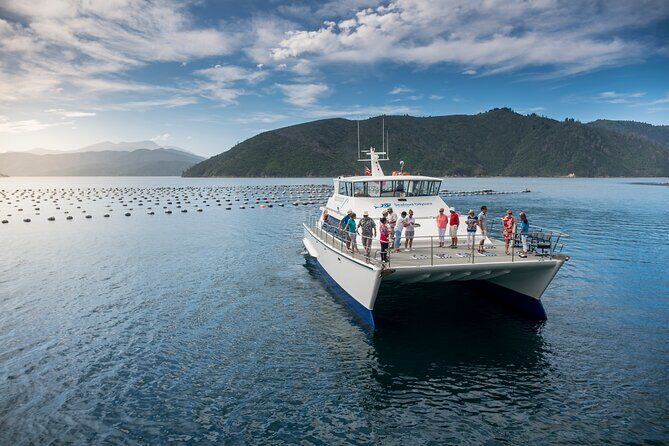 Private Shore Excursion: Explore Marlborough from Picton - In-Depth Look at the Marlborough Tour