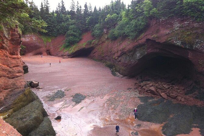 Private Sightseeing Tour In Saint John - Fort Howe: A Historic Lookout
