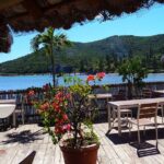 Private Sightseeing Tours - What to Expect During Your Tour