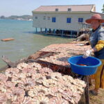 Private Sihanoukville Experience - An Overview of the Tour