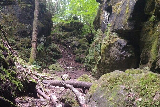 Private Singhampton Caves Hiking Tour, Collingwood/Blue Mountain - A Deep Dive Into the Experience