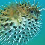 Private Snorkel Cruise in Cabo San Lucas - Authentic Experiences and What Travelers Say