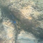 Private Snorkeling Excursion - Final Thoughts