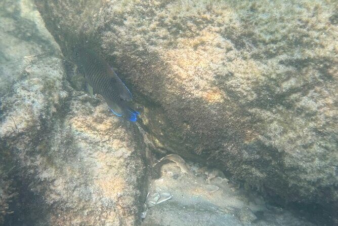 Private Snorkeling Excursion - Final Thoughts