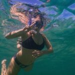 Private Snorkeling Tour In Sydney's Marine Reserve - After the Snorkeling: Relaxing or Exploring Further