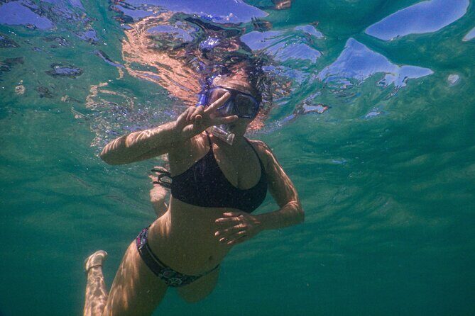 Private Snorkeling Tour In Sydney's Marine Reserve - After the Snorkeling: Relaxing or Exploring Further