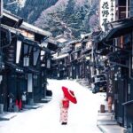 Private Snow Monkeys park Day Trip From Tokyo or Nagano - Flexibility and Customization