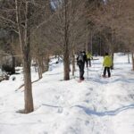 Private Snowshoeing Tour in Hida - What Travelers Can Expect