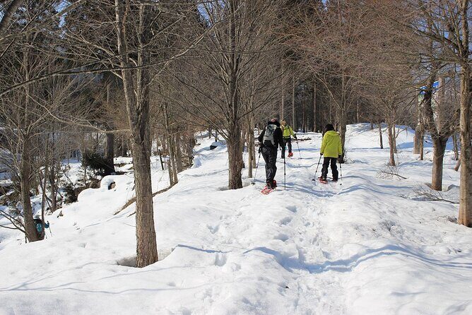 Private Snowshoeing Tour in Hida - What Travelers Can Expect