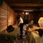 Private Spa of Shinoryu Kodo and Traditional Japanese Music - Breakdown of the Itinerary and Key Elements