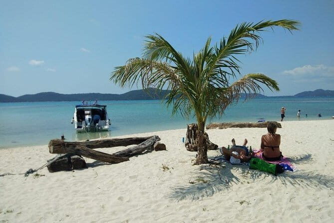 Private Speedboat Koh Tan & Pig Island Snorkeling from Samui - The Practical Side: Price, Duration, and Bookings