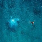 Private Standard Charter Experience in Whitsundays - Who Should Consider This Tour?