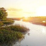 Private Sunset Cruise in Savannah's Low Country - Why Youll Love This Cruise