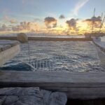 Private sunset excursion to the Sailing Lagoon of Tahiti - A Deeper Dive into the Experience
